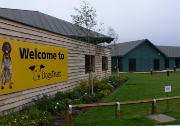 Dogs Trust Shoreham Rehoming Centre / Rescue Review